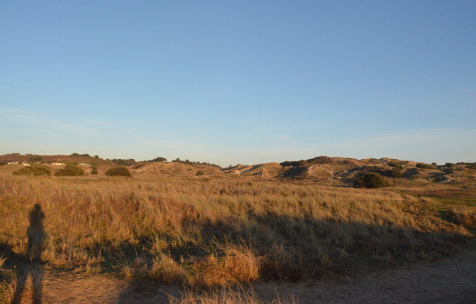 News – Forest Fringe